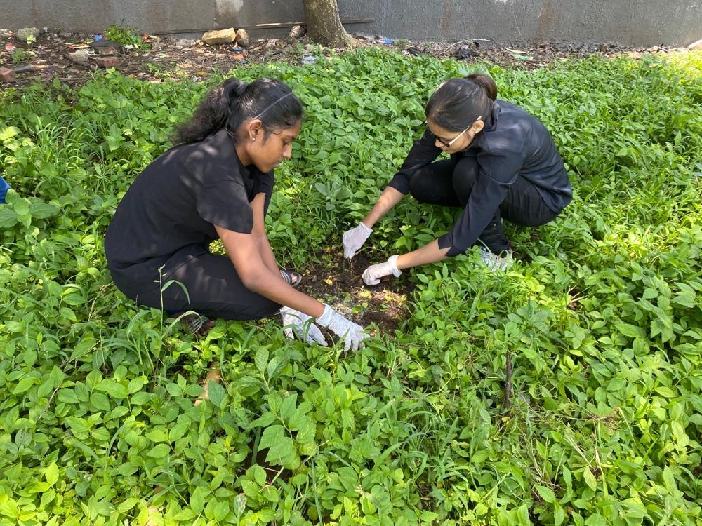 SIES COLLEGE OF COMMERCE & ECONOMICS